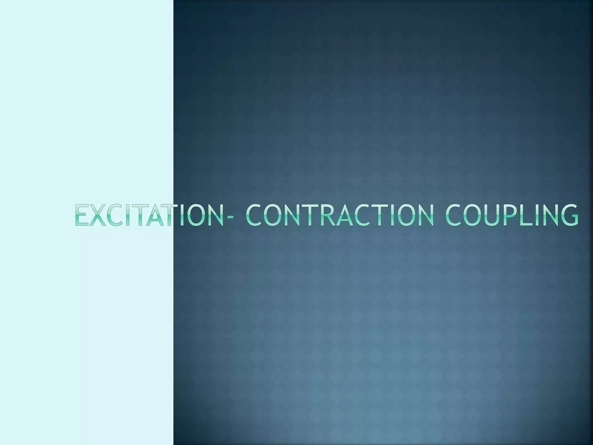 exitatoin contraction coupling.pptx