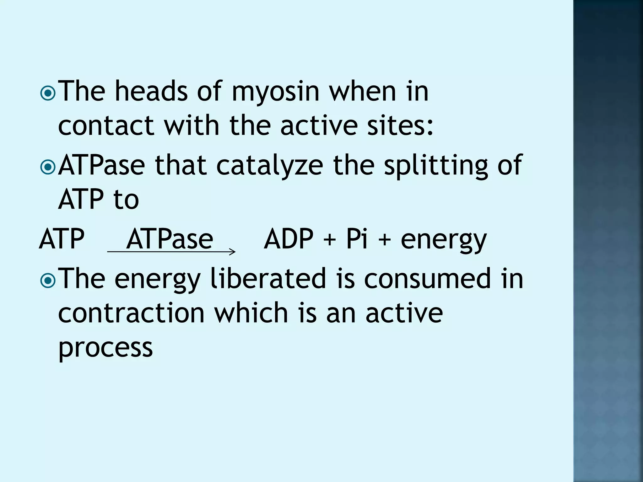 exitatoin contraction coupling.pptx