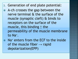 exitatoin contraction coupling.pptx