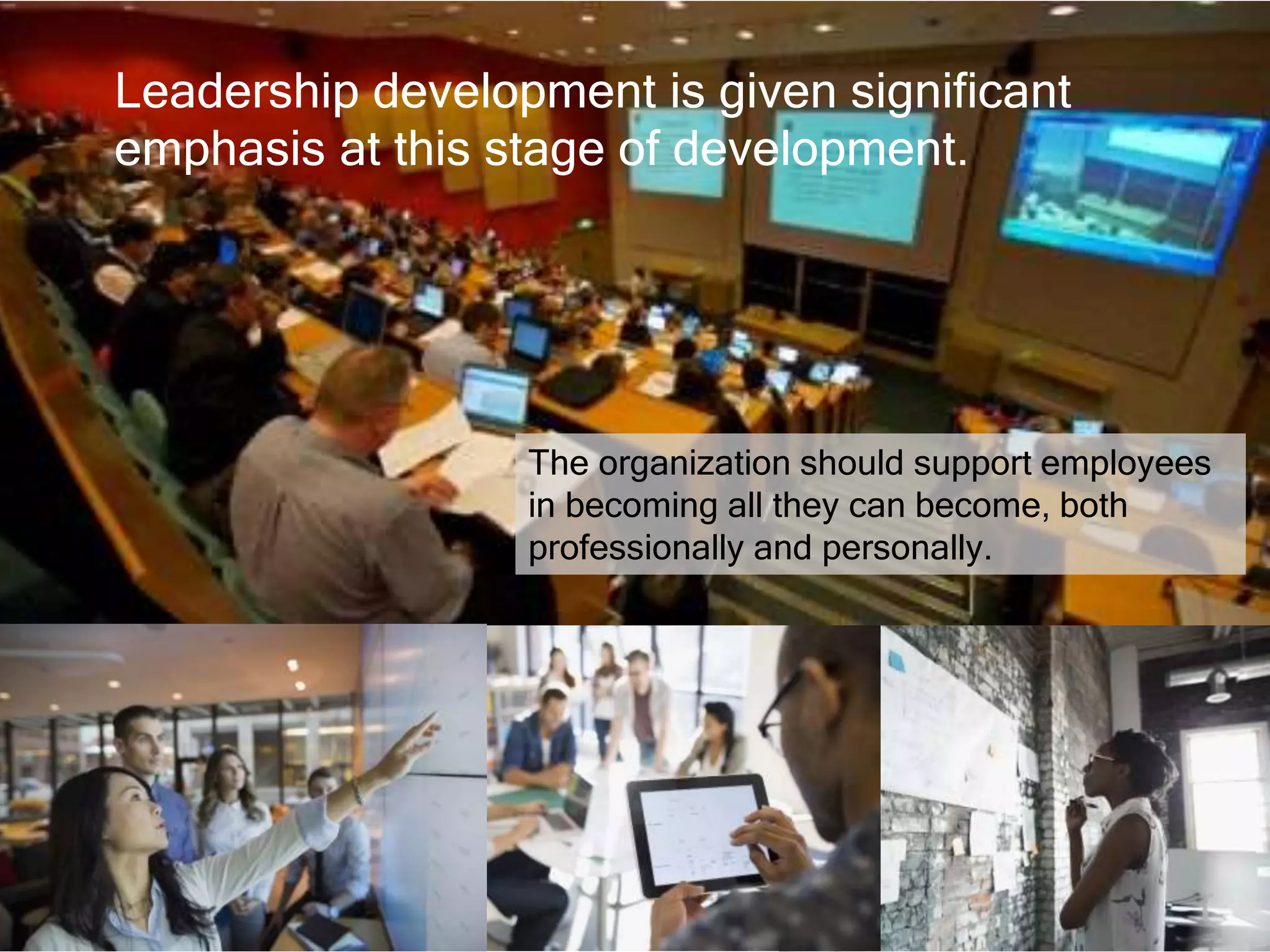 Seven stages of organizational and leadership development | PPT