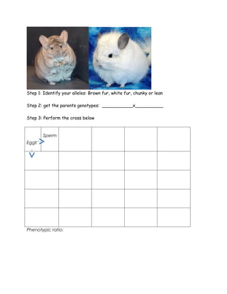 Exit ticket q2 w5 aa | DOC