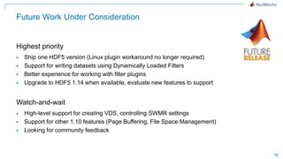 MATLAB Modernization on HDF5 1.10