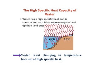 Properties and functions of water in plants and soil | PPTX