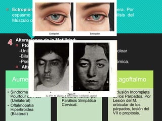 Examen de Ojo. Semiología del cara y facie | PPT
