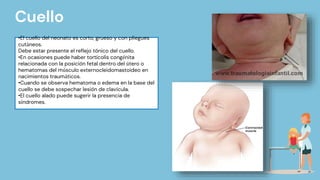 Presentación examen Físico del Recien nacido.pptx