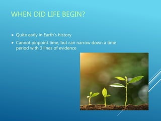 EVOLUTION | PPT