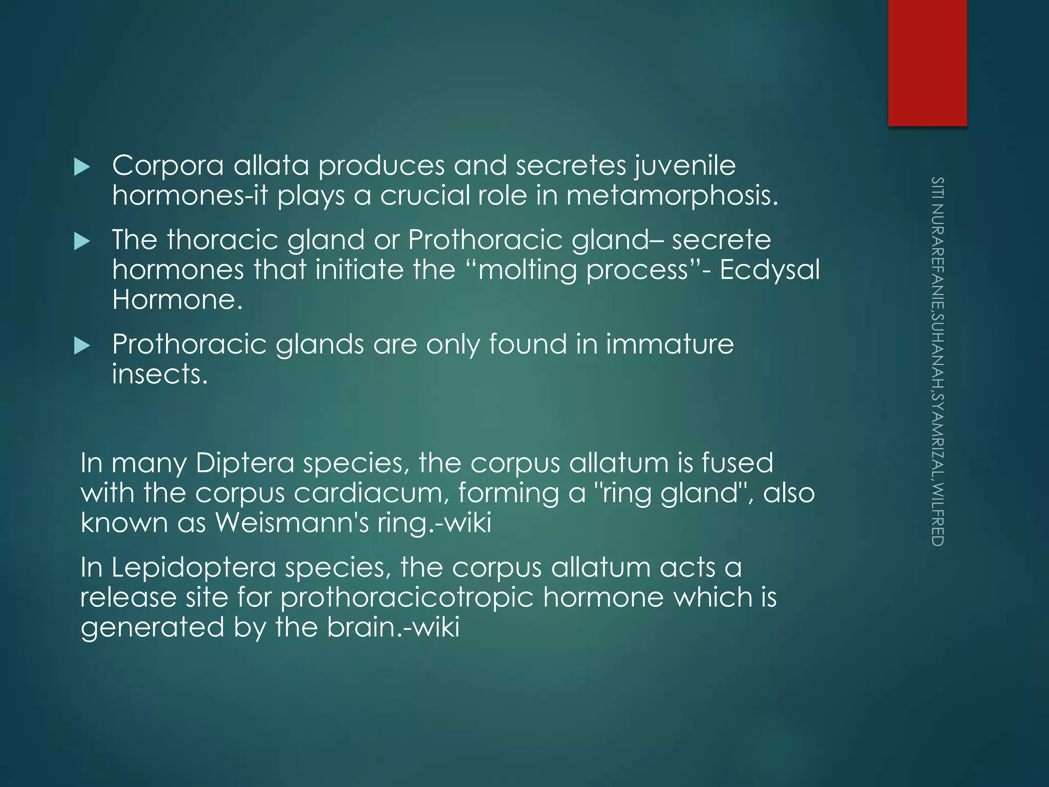 Exocrine and Endocrine Glands | PPTX