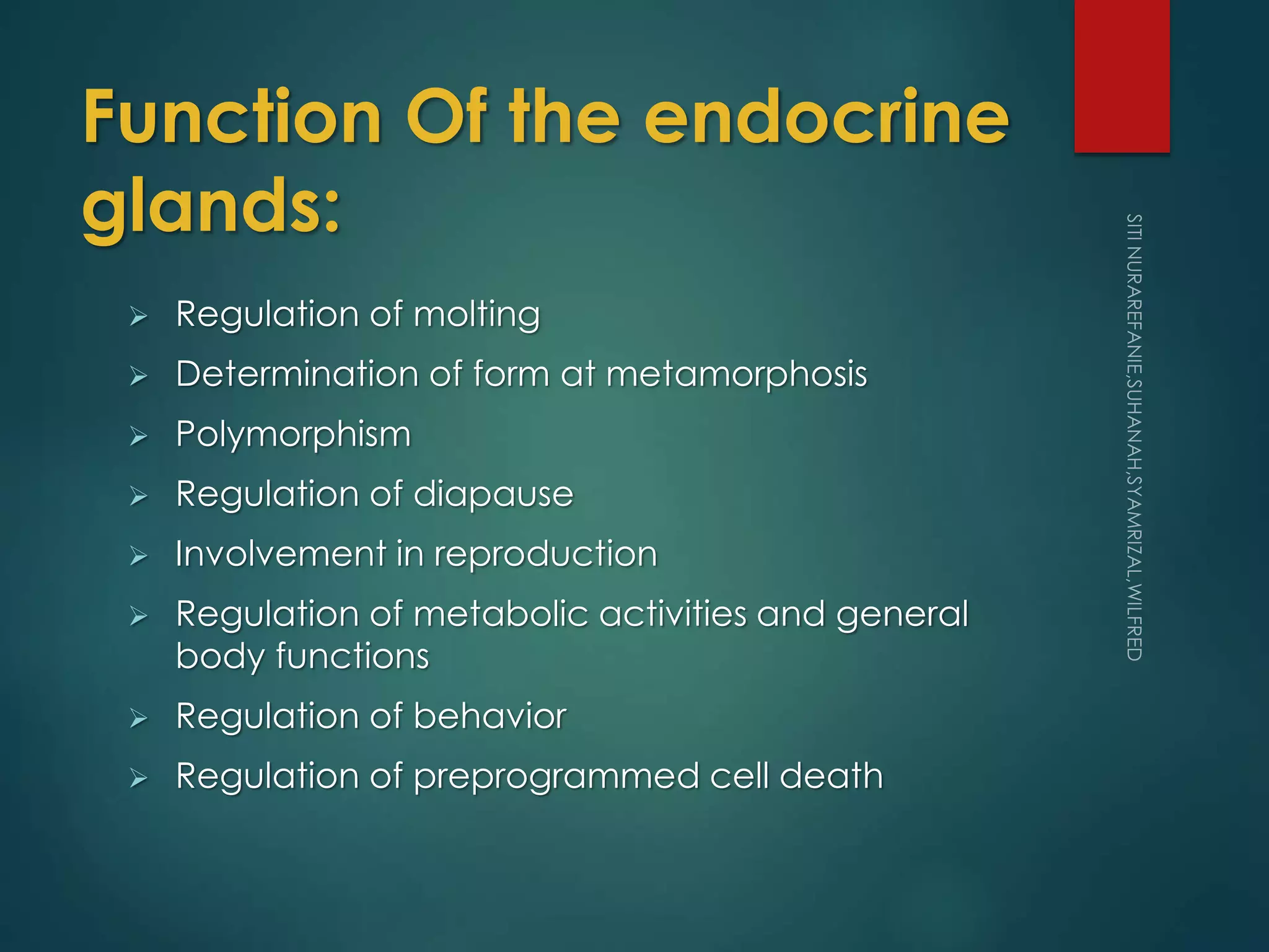 Exocrine and Endocrine Glands | PPT