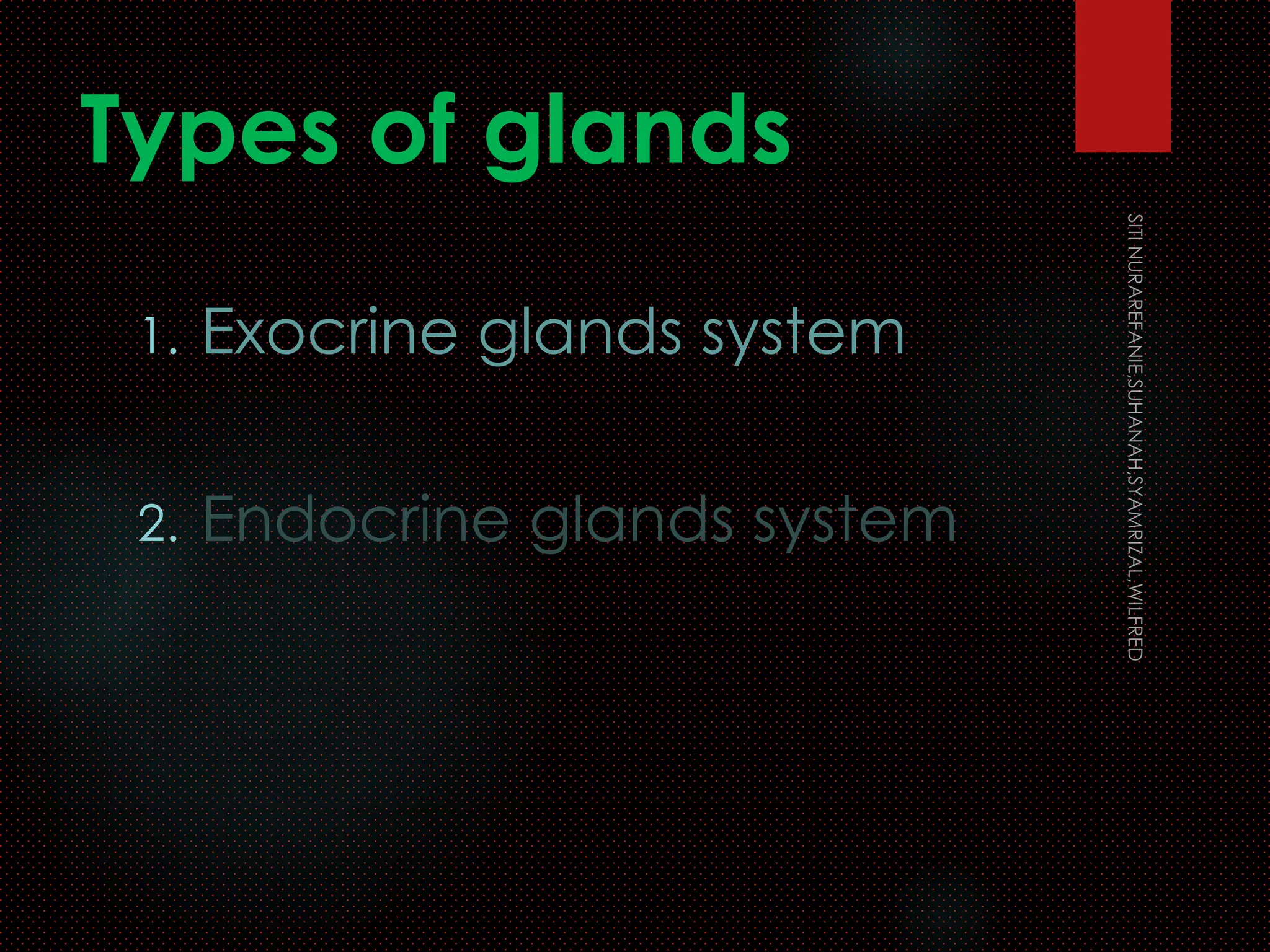 Exocrine and Endocrine Glands | PPTX