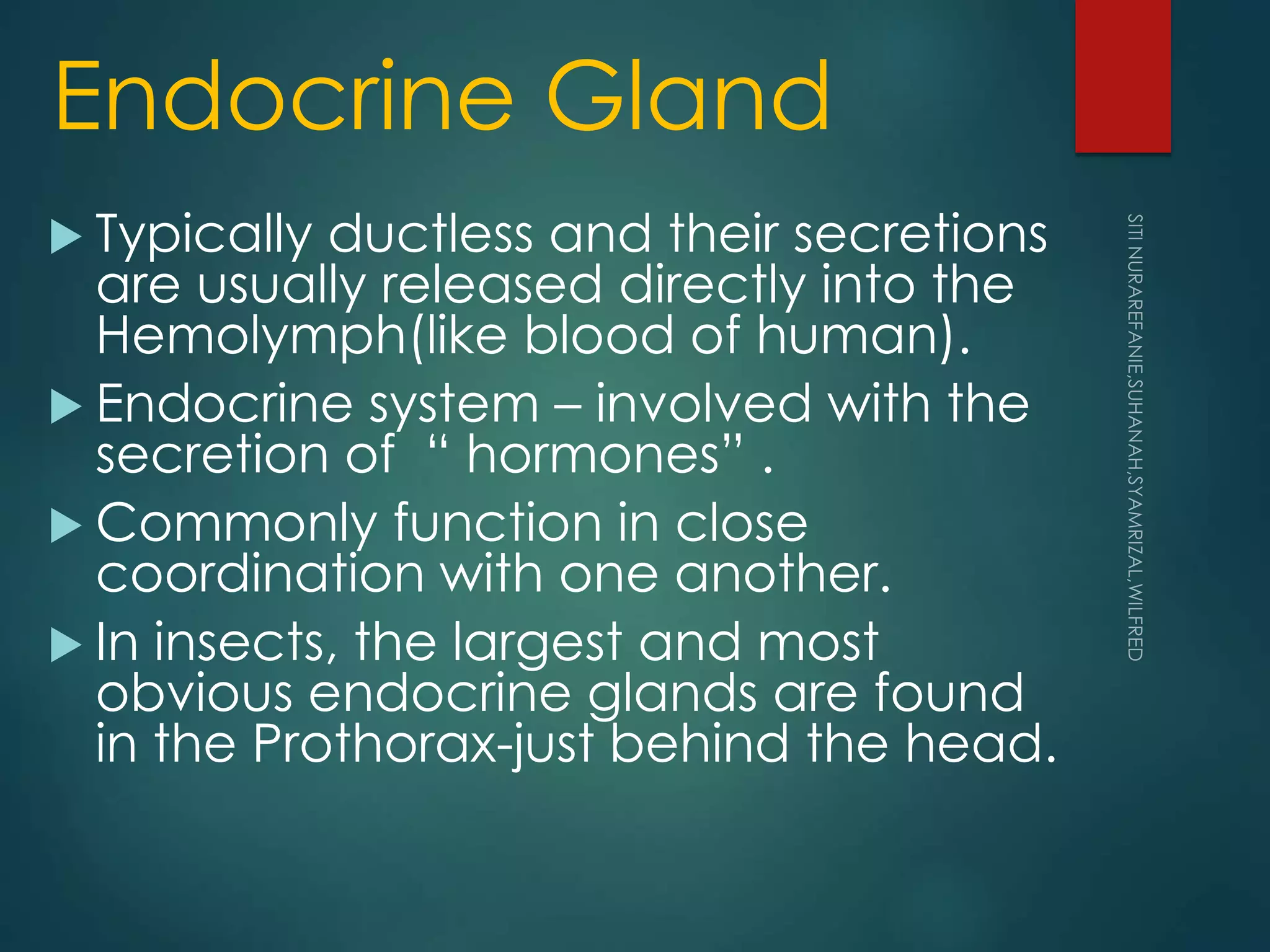 Exocrine and Endocrine Glands | PPTX