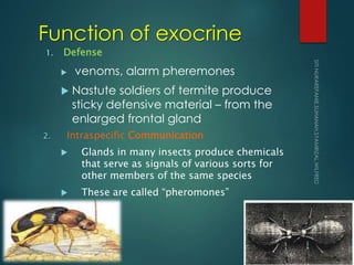 Exocrine and Endocrine Glands | PPTX