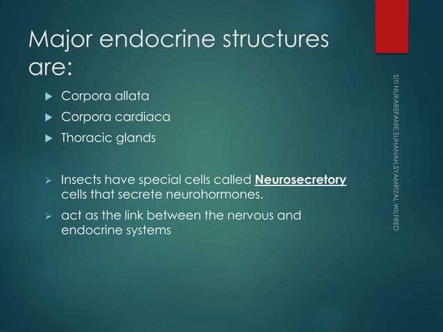 Exocrine and Endocrine Glands | PPTX | Endocrine and Metabolic Diseases ...