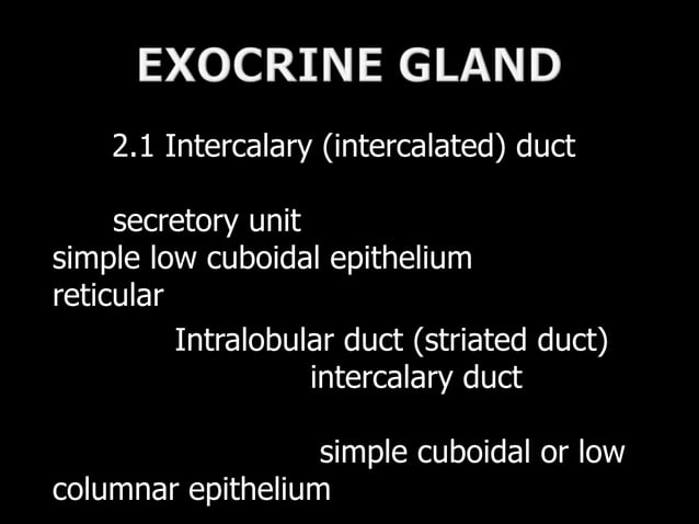 Exocrine gland | PPTX | Endocrine and Metabolic Diseases | Diseases and ...