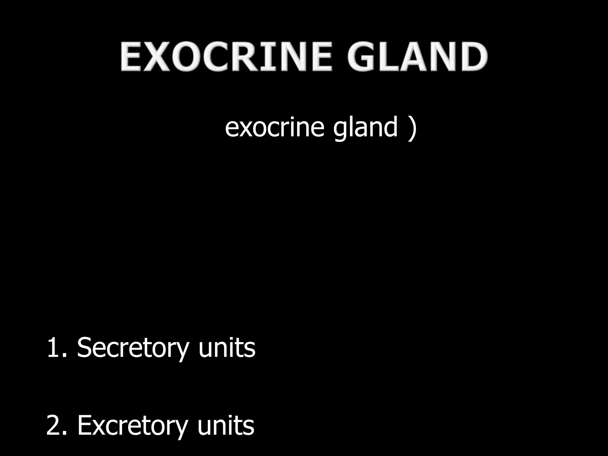 Exocrine gland | PPTX