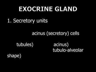 Exocrine gland | PPTX