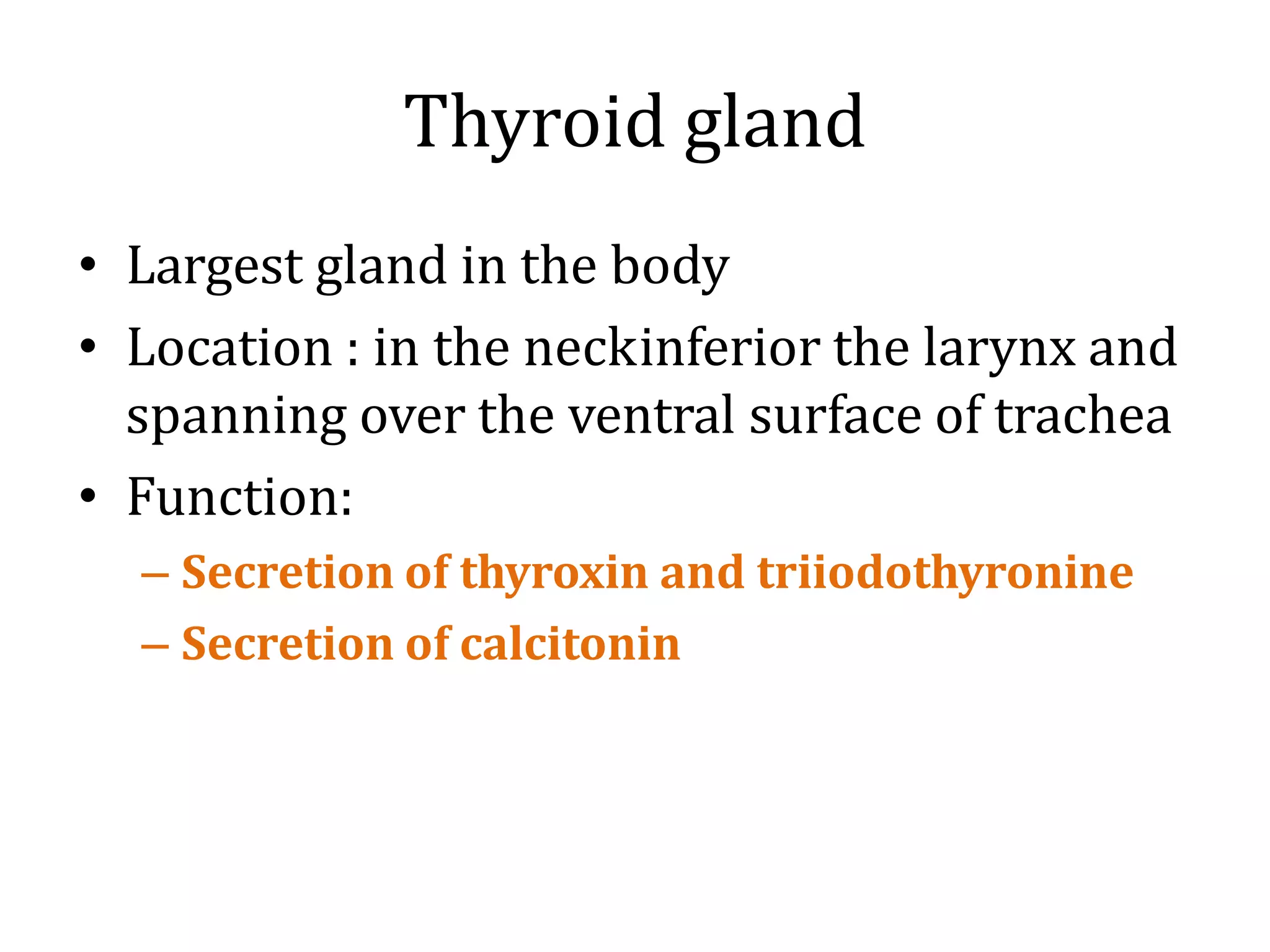 Exocrine Gland And Endocrine Gland Ppt