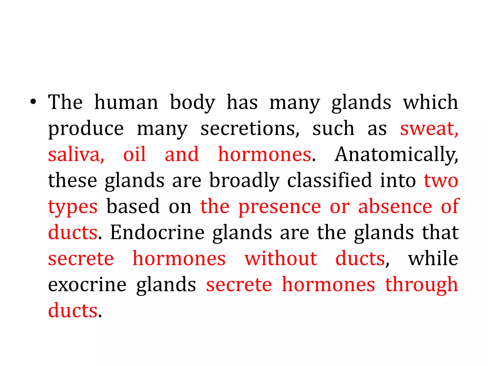 Exocrine Gland And Endocrine Gland Ppt