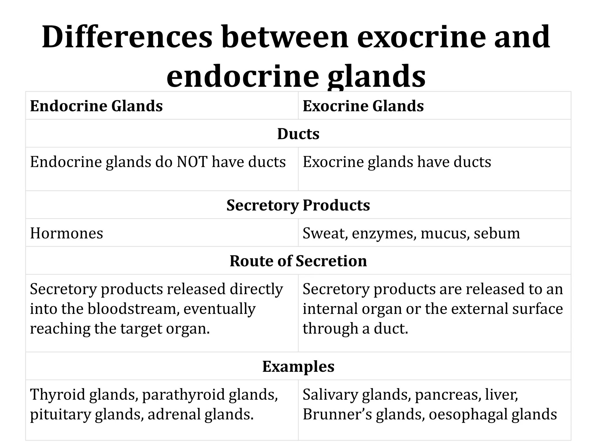 Exocrine Gland And Endocrine Gland Ppt
