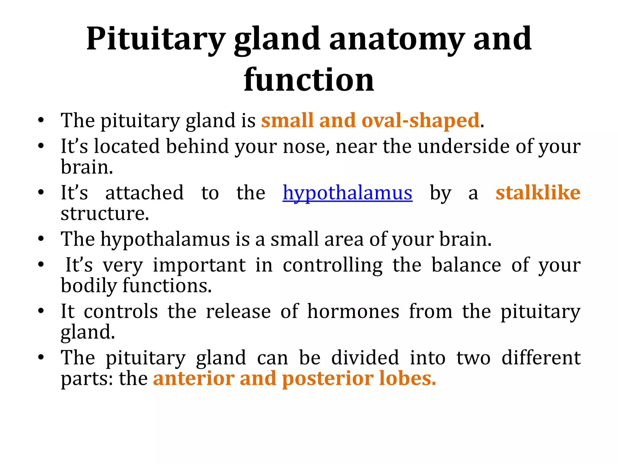 Exocrine Gland And Endocrine Gland Ppt