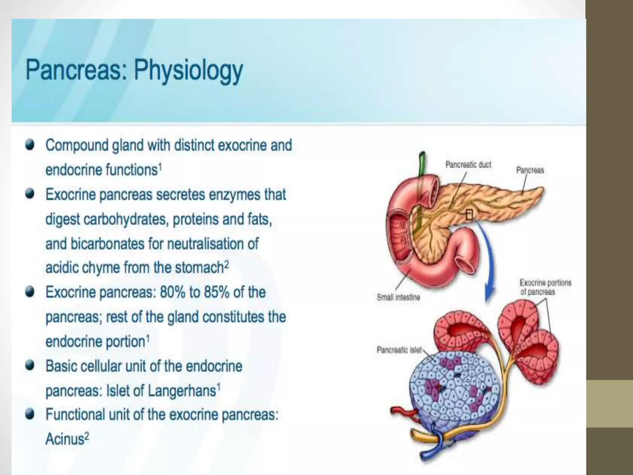 Exocrine pancreatic insufficiency - Dr Shaz Pamangadan | PPTX
