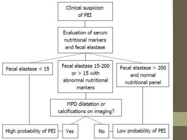 Exocrine pancreatic insufficiency - Dr Shaz Pamangadan | PPTX