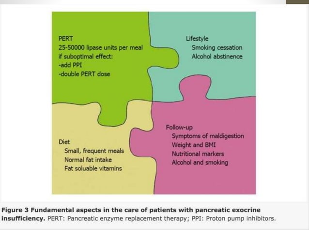 Exocrine pancreatic insufficiency - Dr Shaz Pamangadan | PPTX