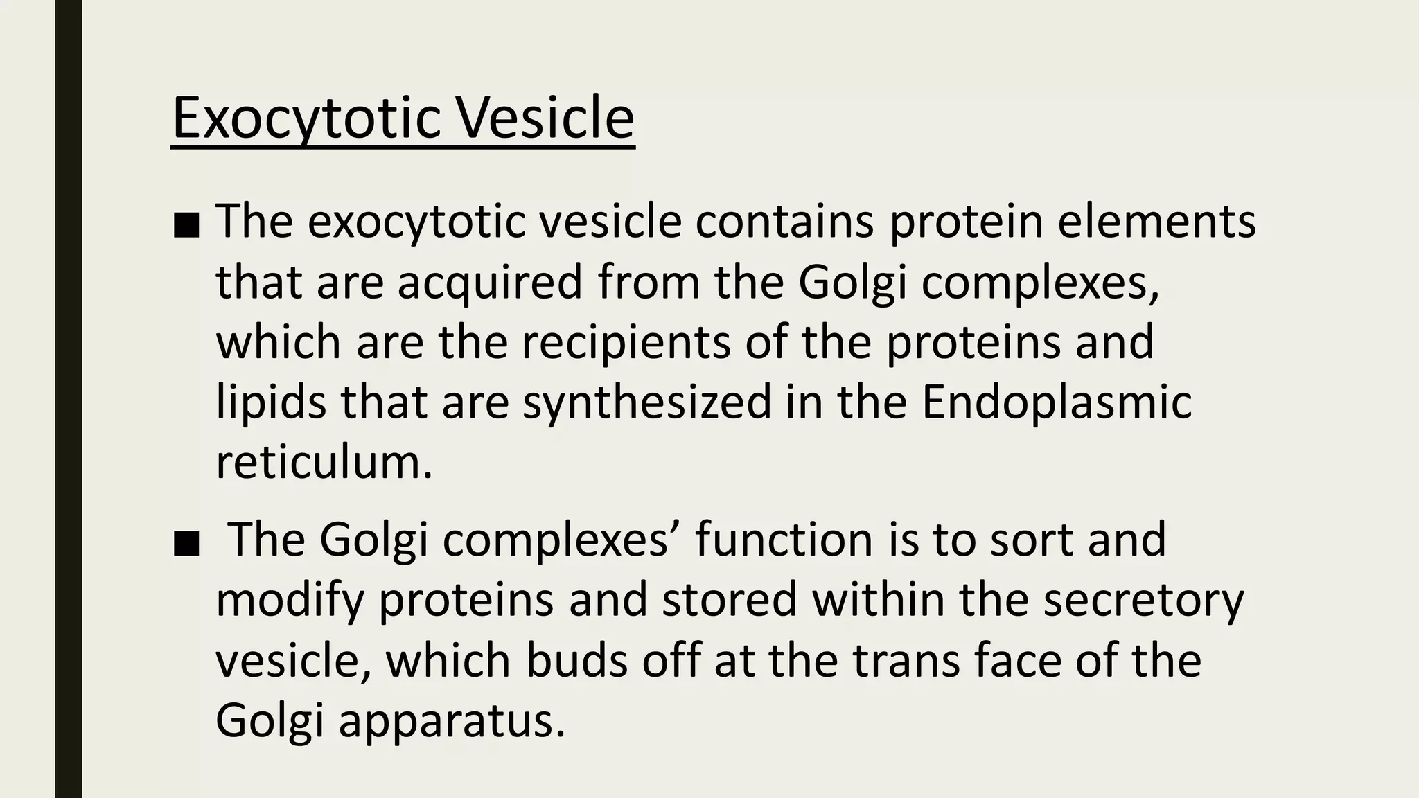 Exocytosis | PDF