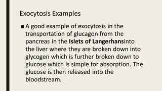 Exocytosis | PDF