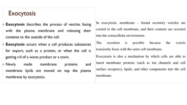 Exocytosis and Endocytosis..pptx in vast | PPT