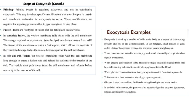 Exocytosis and Endocytosis..pptx in vast | PPT