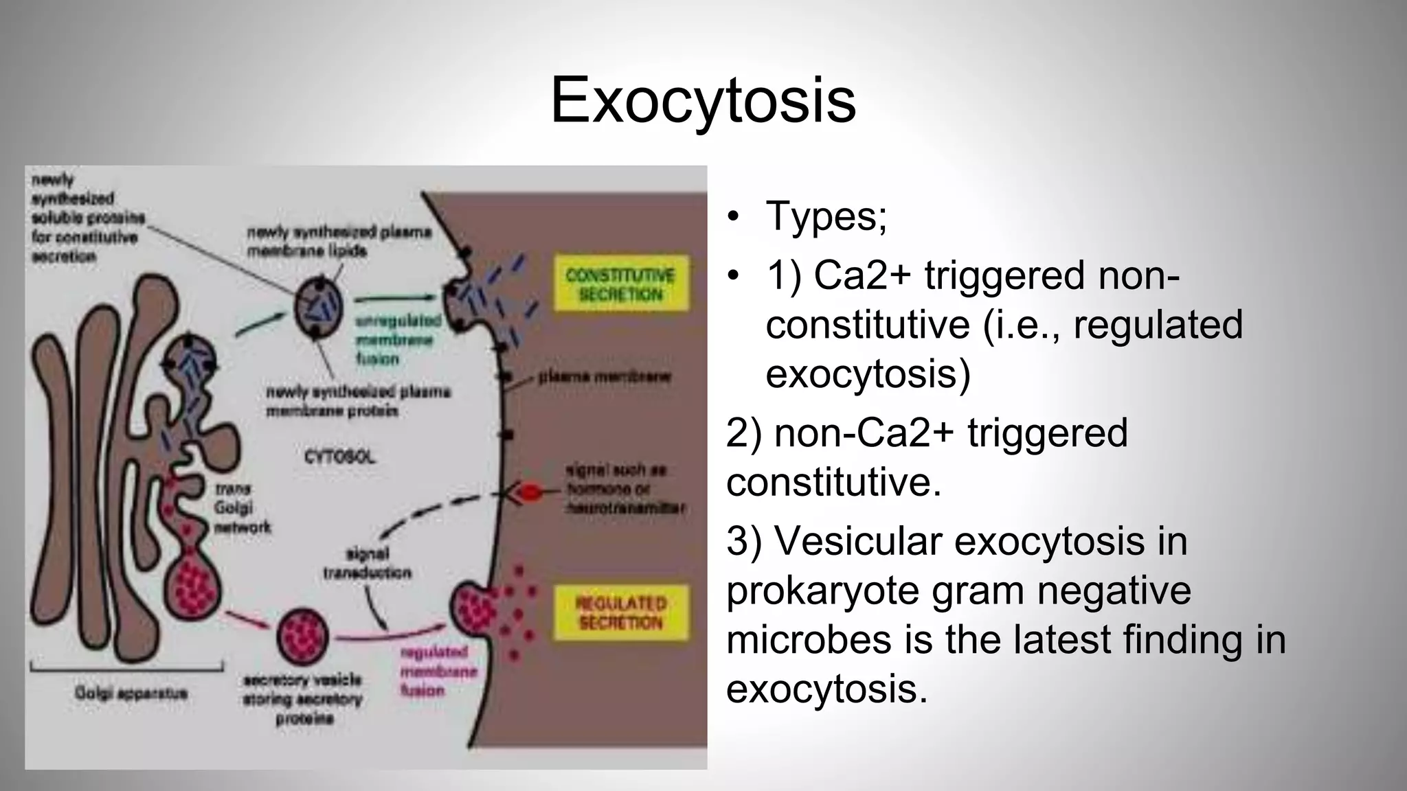 Exocytosis and endocytosis | PPTX