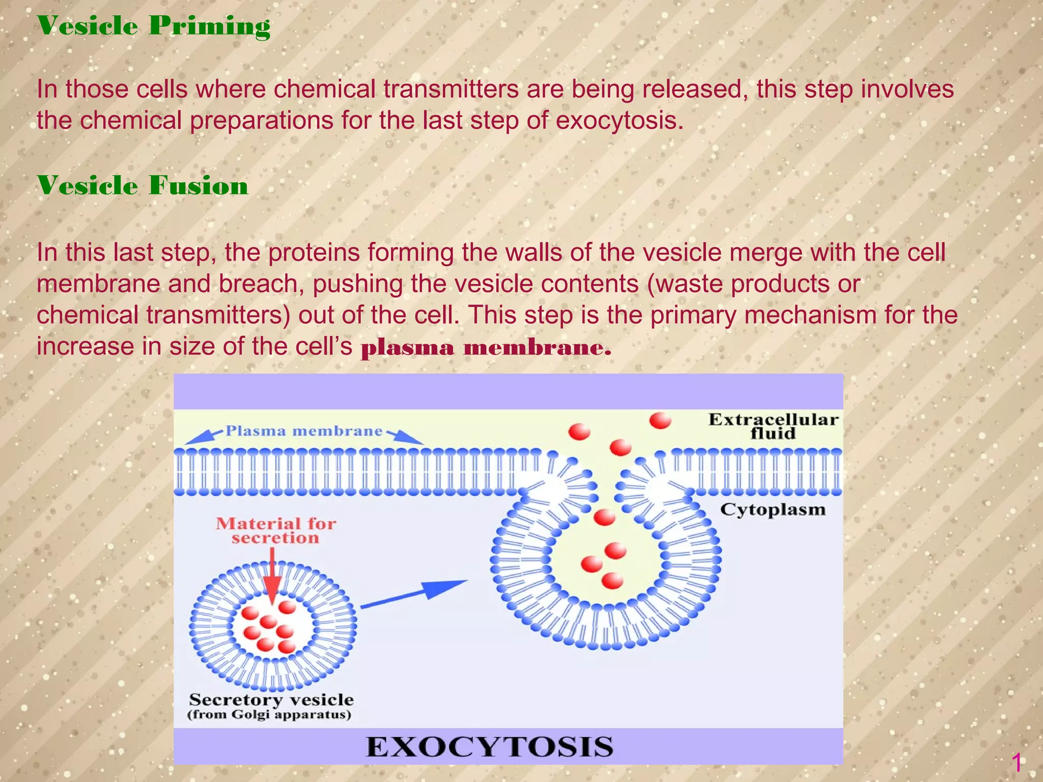 Exocytosis and Endocytosis {Best one} | PPT
