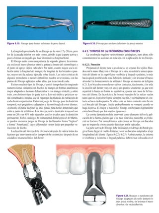 Exodoncia.pdf