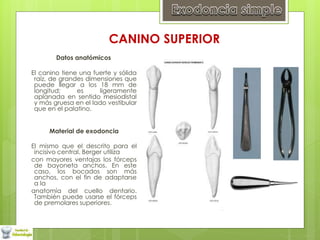 Exodoncia simple | PPTX