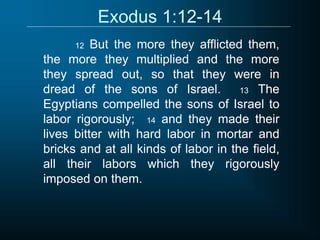 Exodus: 1 | PPT