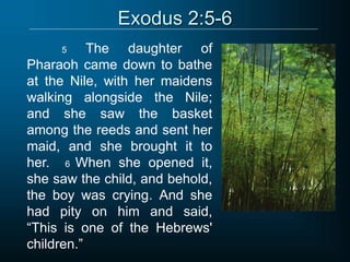 Exodus: 2 | PPT