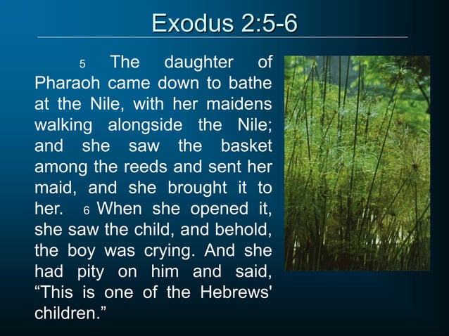Exodus: 2 | PPT | Christianity | Religion & Spirituality