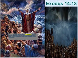 Exodus 14;13-15 Fear Not | PPT | Christianity | Religion & Spirituality