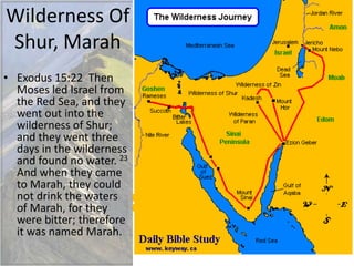 Exodus Chapters 15 and 16 | PPT