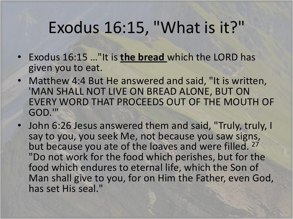 Exodus Chapters 15 And 16 exodus-chapters-15-and-16