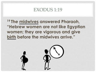 Exodus dig site 1 | PPTX