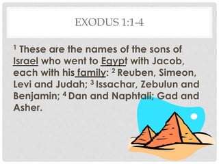 Exodus dig site 1 | PPTX
