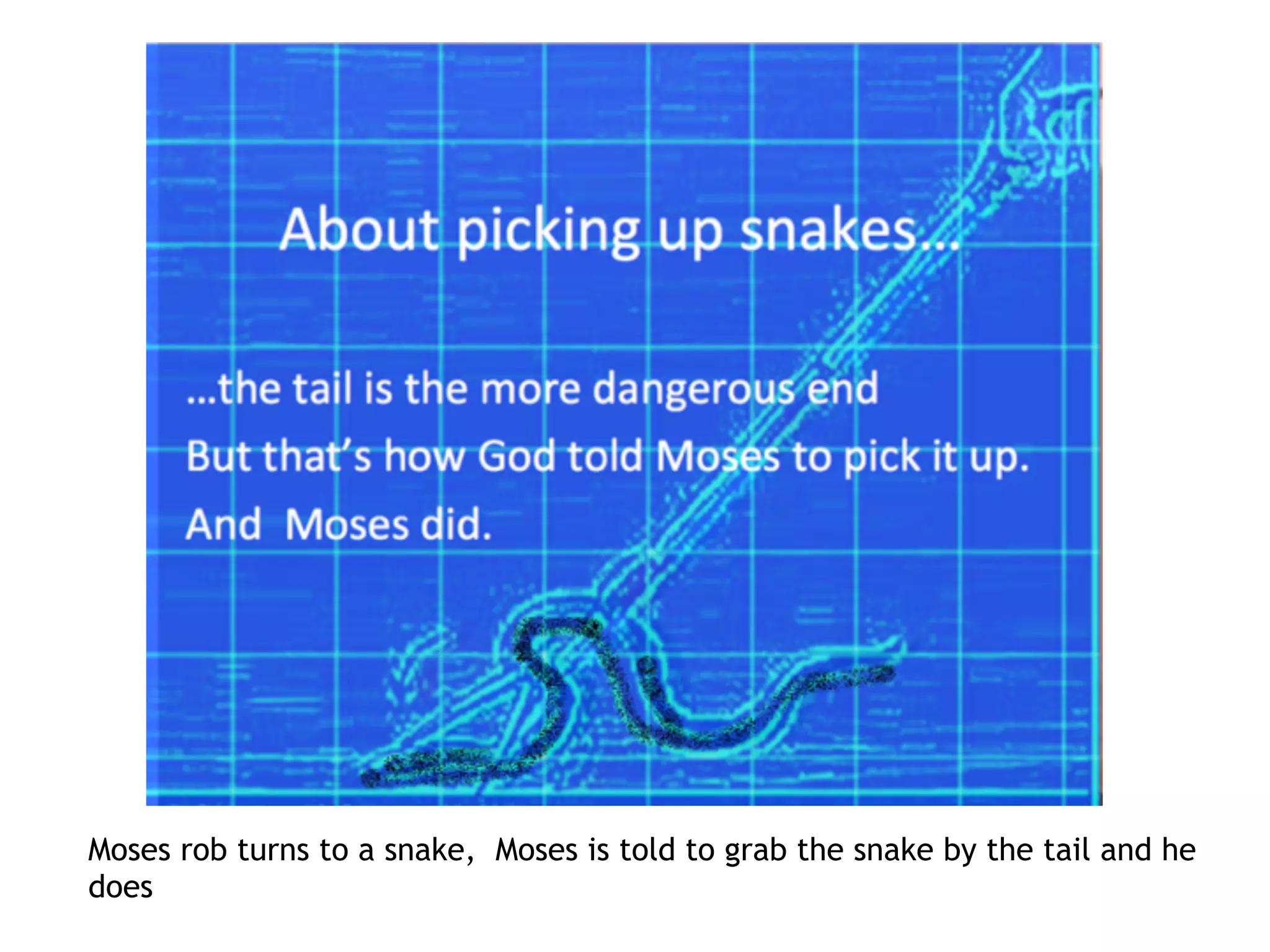 Exodus Overview | PDF
