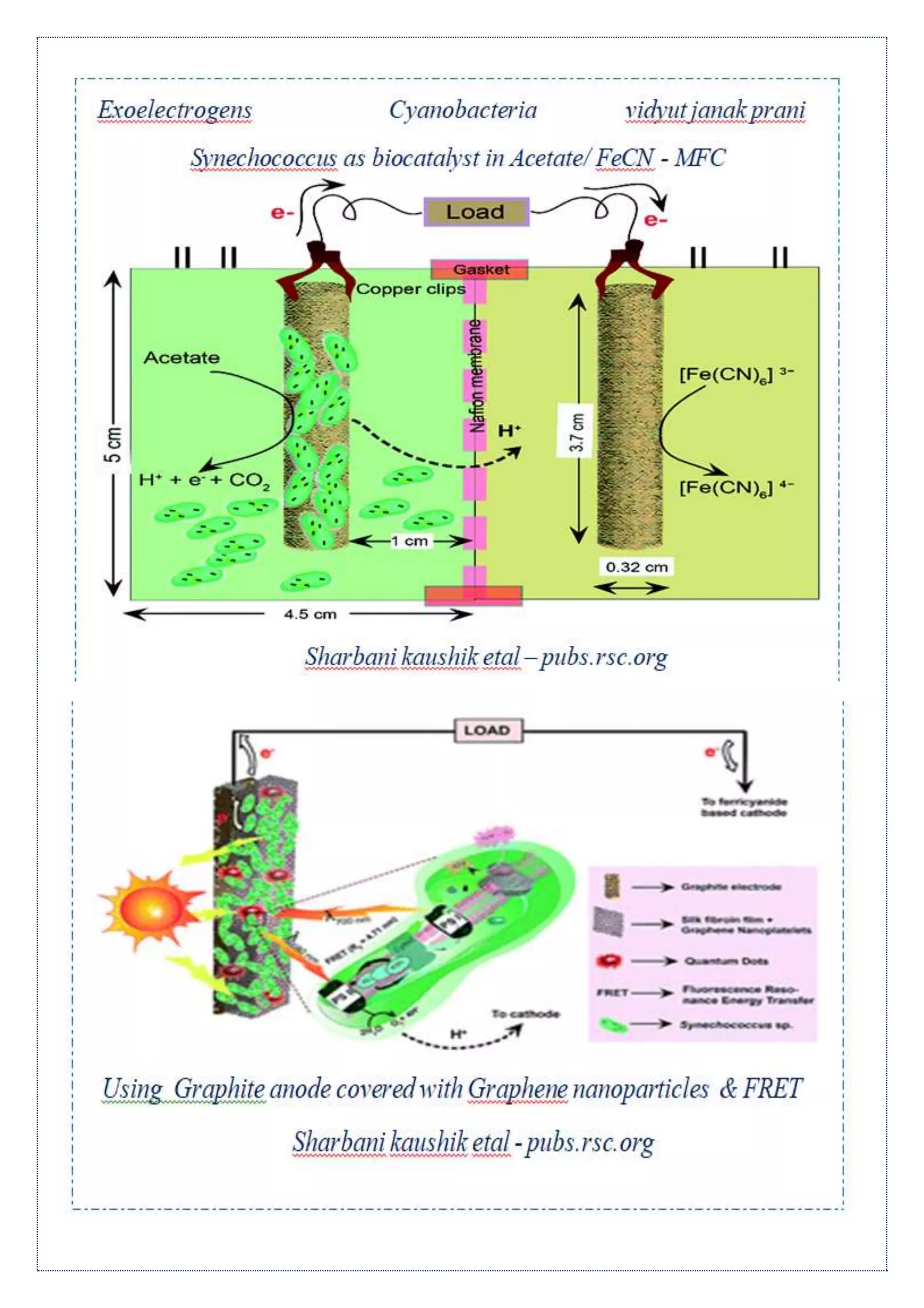 EXOELECTROGENS -CYANOBACTERIA.docx