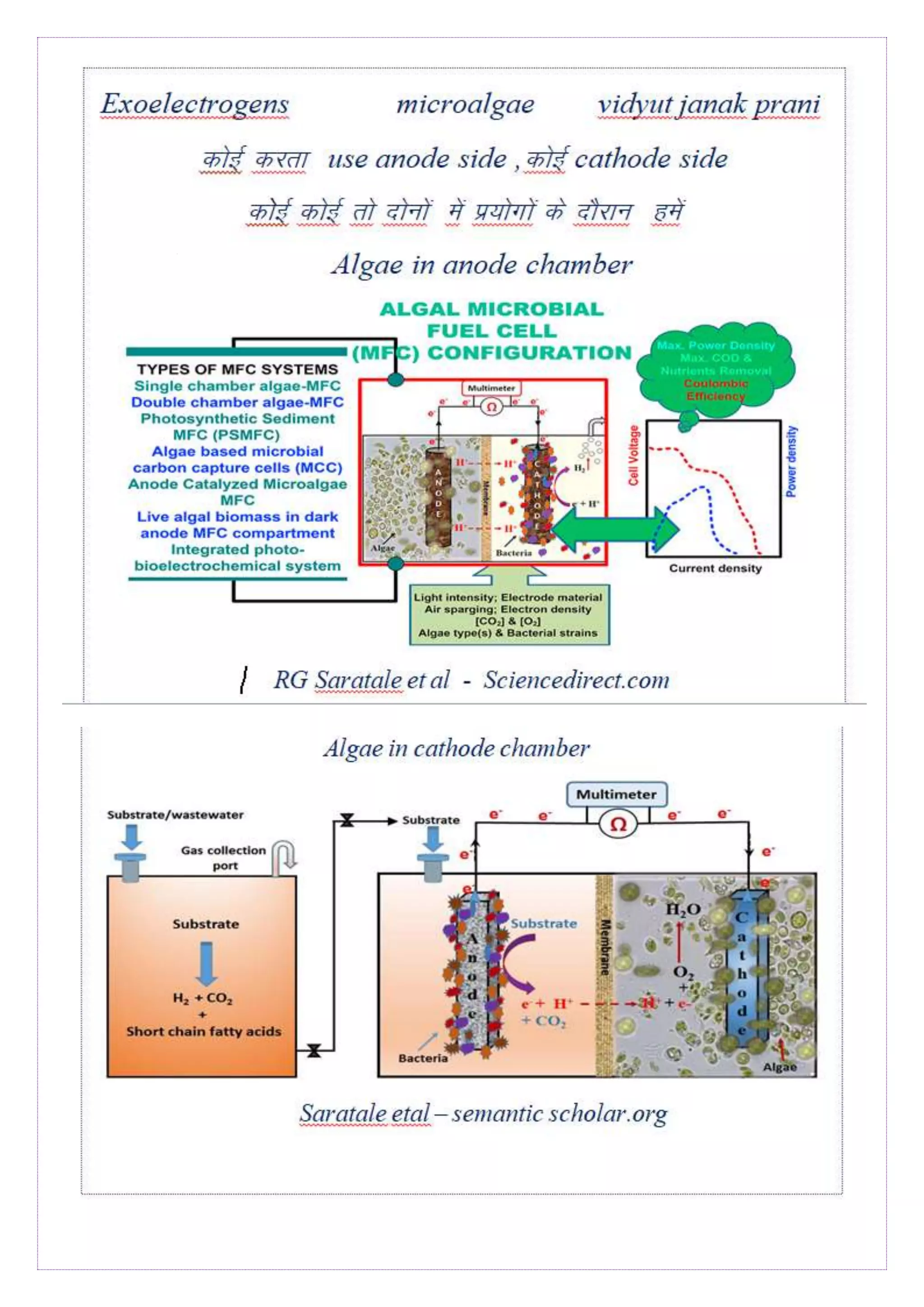 Exoelectrogens - Micro Algae - Chlorella - SNIPED.docx