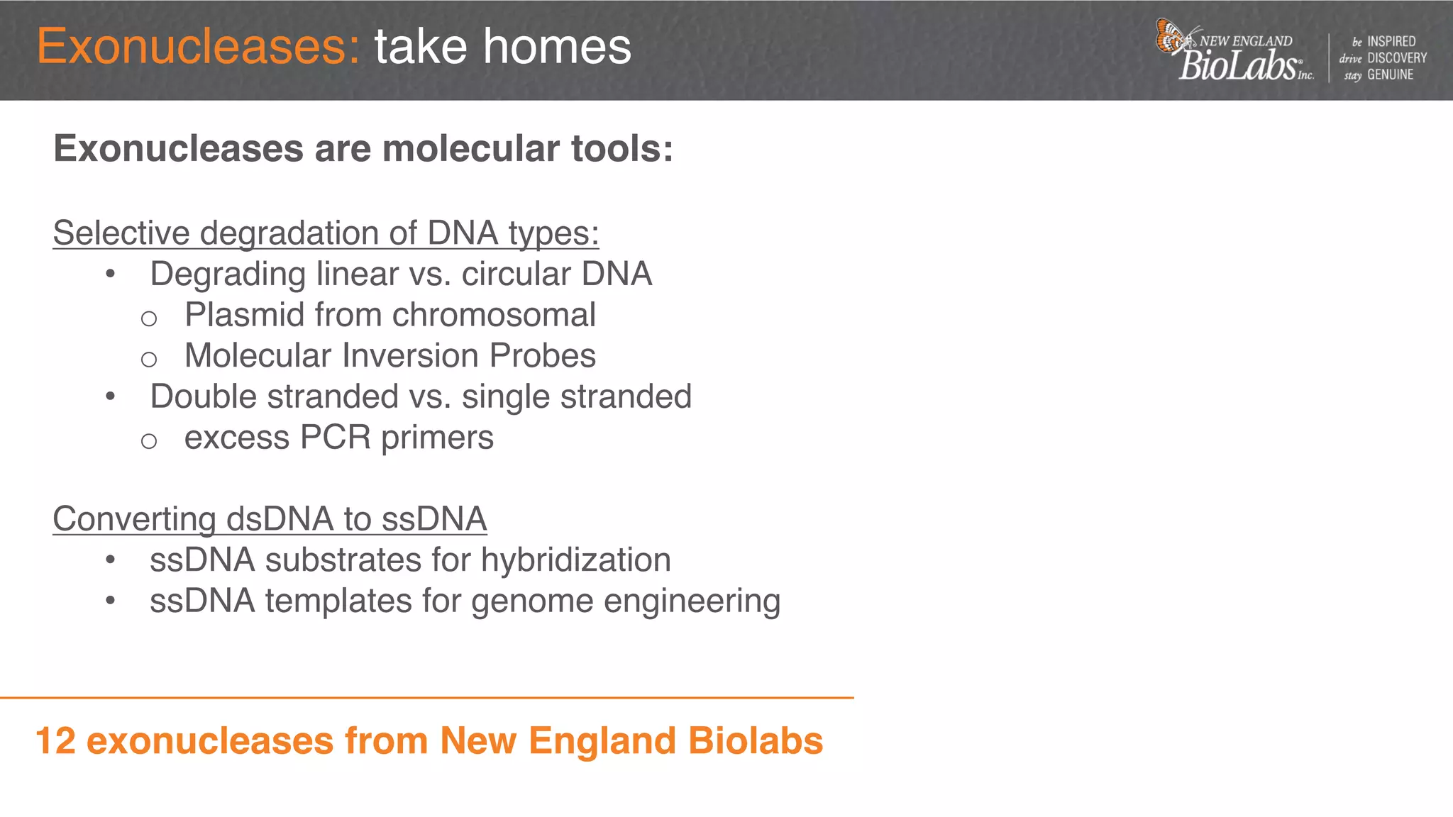 Exonucleases & endonucleases as molecular tools | PDF