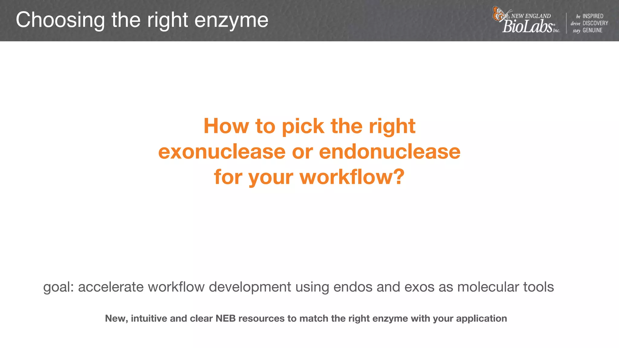 Exonucleases & endonucleases as molecular tools | PDF