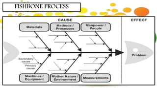 Human Resource The fishbone theory Exofrut | PPT