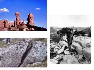 Exogenetic Process-Geomorphology Chapter | PPT