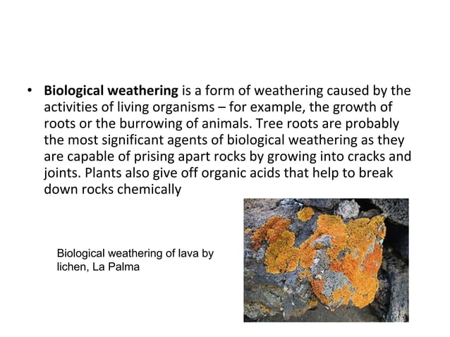Exogenetic Process-Geomorphology Chapter | PPT | Geology | Science